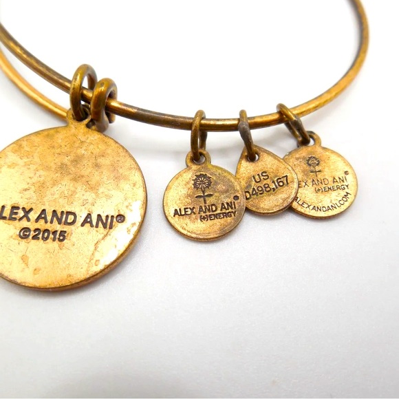 Alex and Ani | Jewelry | Alex And Ani Sister Bangle Braclet | Poshmark